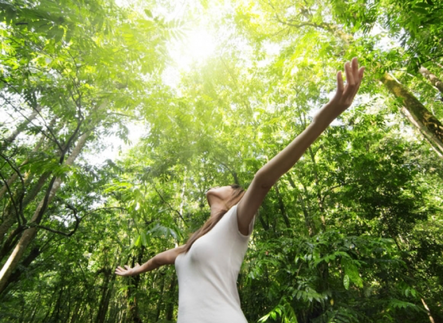 It’s official — spending time outside is good for you – Wisdom To Live